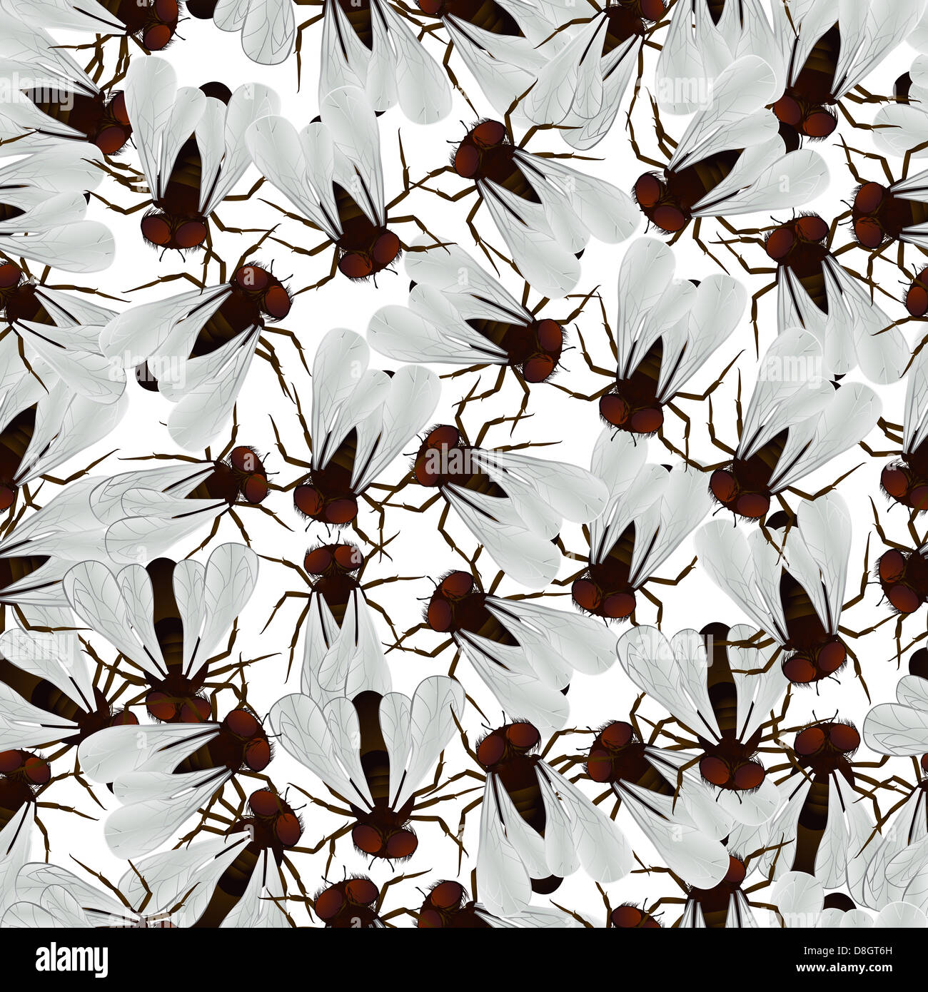 House fly pattern Stock Photo - Alamy