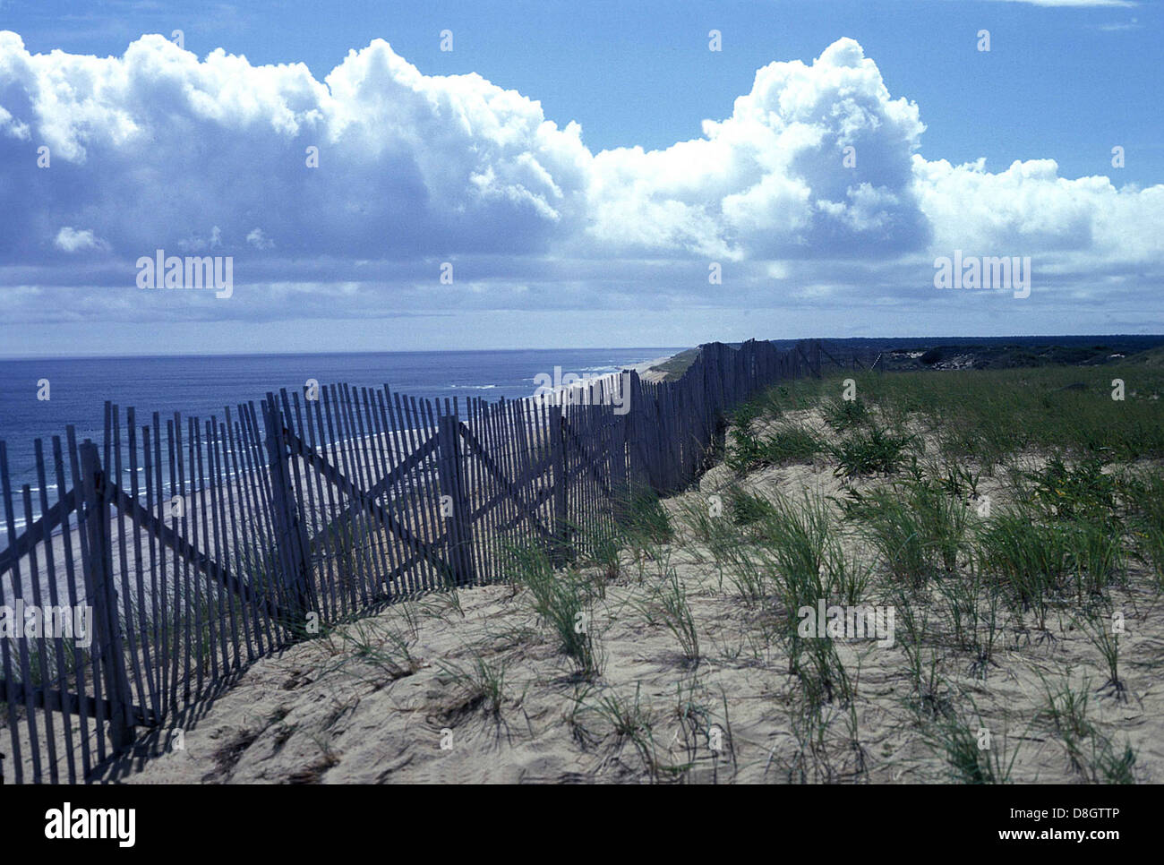 Cape Cod National Seashore in Wellfleet, Massachusetts, features ...