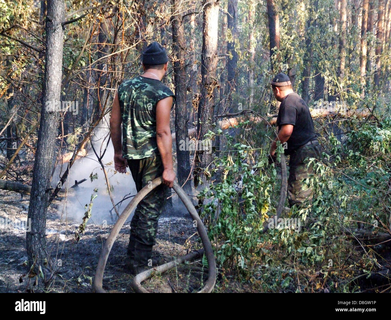 Firemen fighting a bushfire wildfire in the coniferous forest Stock ...