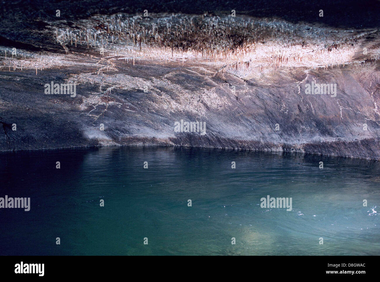 The interior of a cave with flowing water, a low ceiling, and numerous ...