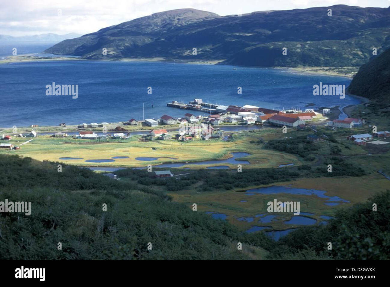 Chignik village in Alaska during the summer, with lush green ...
