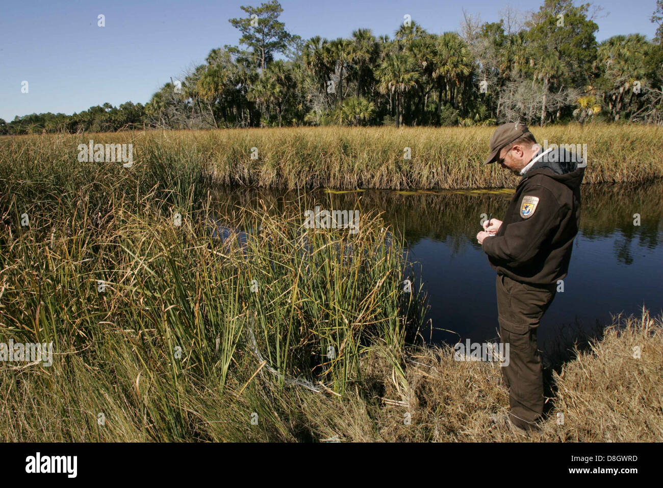 Children participate in environmental education activities, learning ...