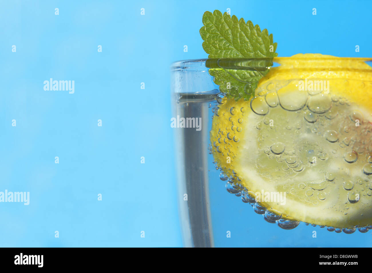 Lemon In Sparkling Water at Annabelle Focken blog
