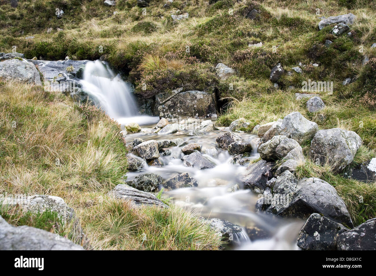 Irish nature hi-res stock photography and images - Alamy