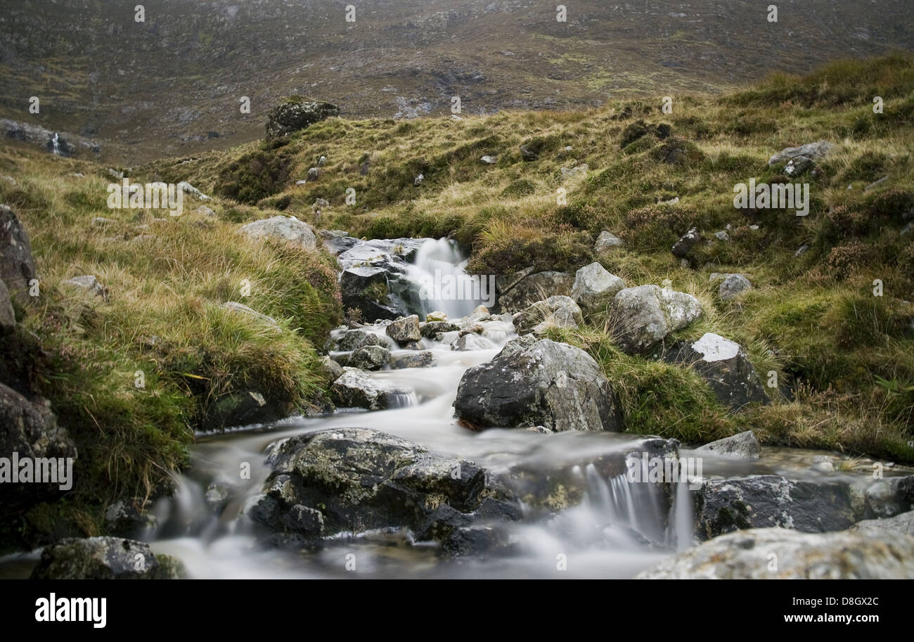 Irish nature hi-res stock photography and images - Alamy