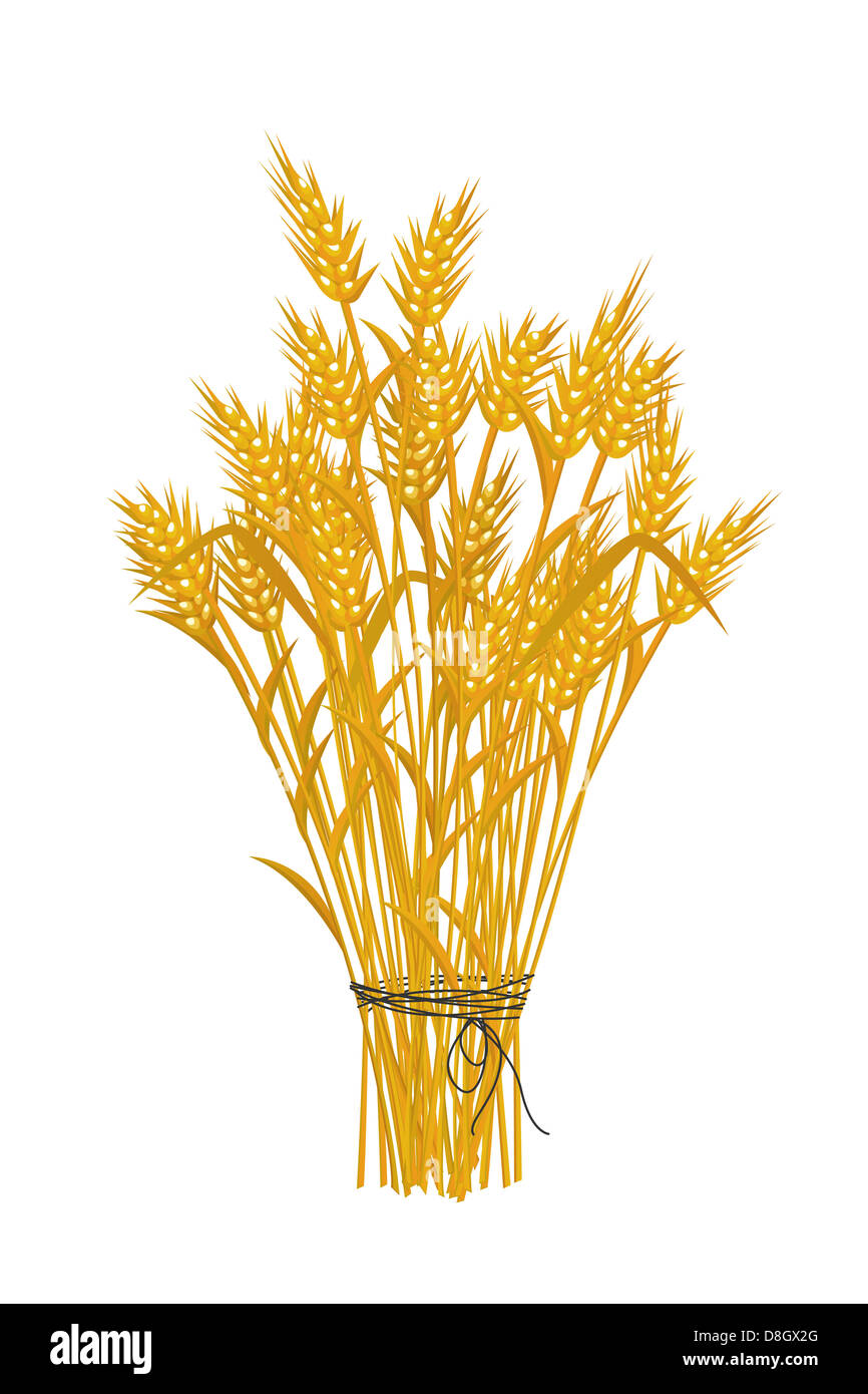 Golden wheat icon Stock Photo - Alamy