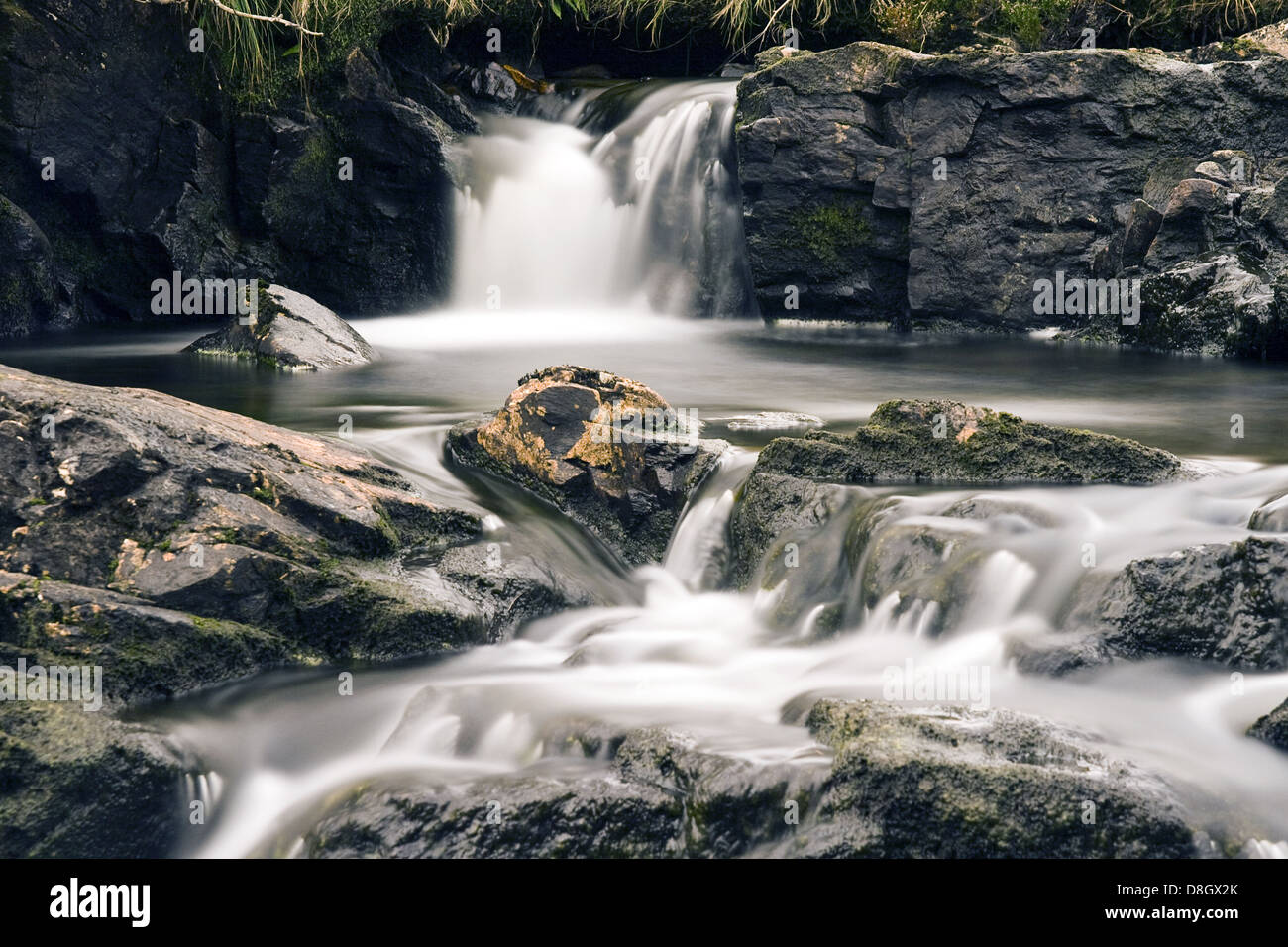 Irish nature hi-res stock photography and images - Alamy