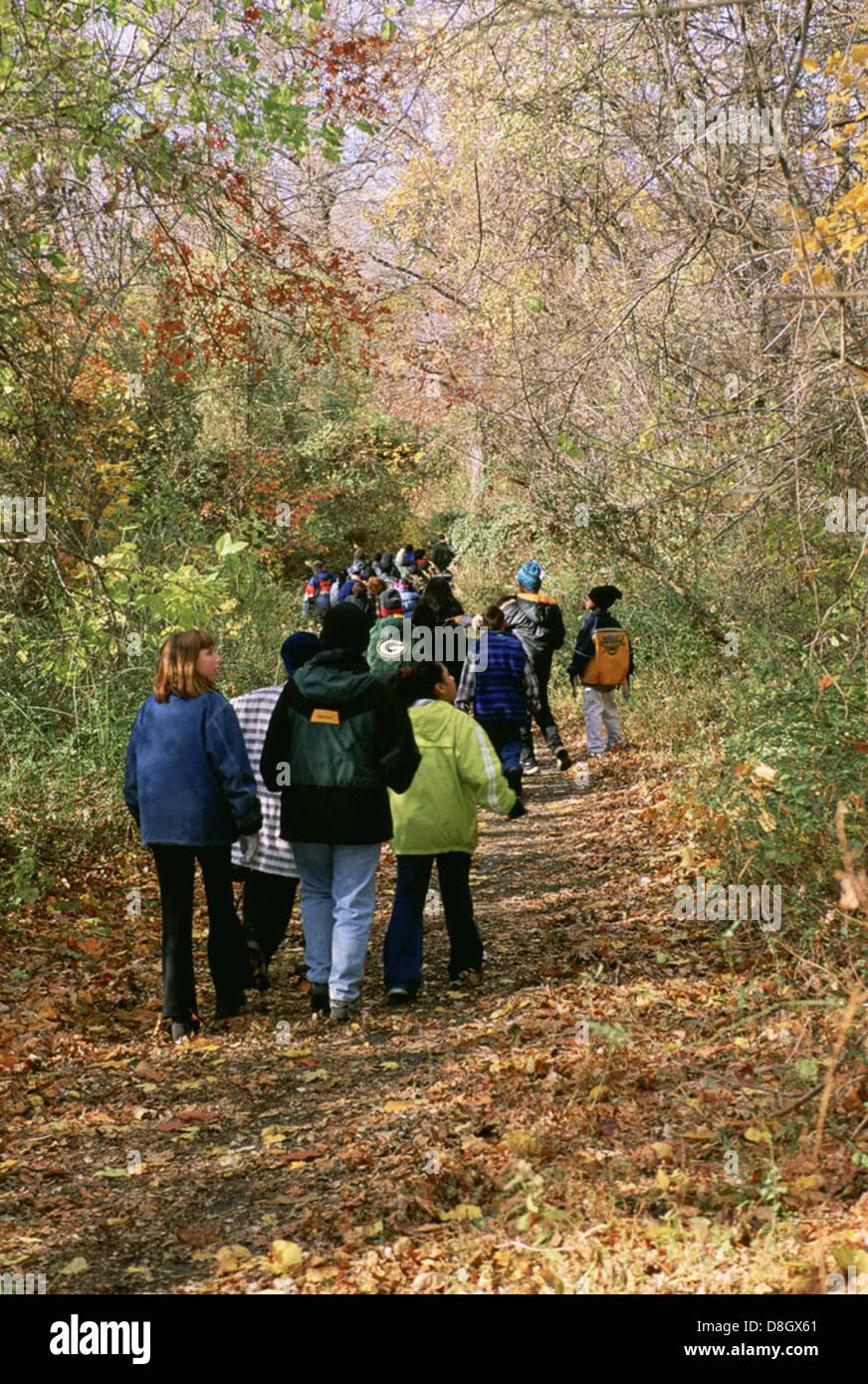 Children recreation in forest and environmental education Stock Photo ...