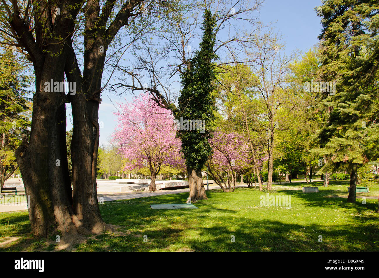 Tsar Simeon Park, Plovdiv, Bulgaria Stock Photo - Alamy