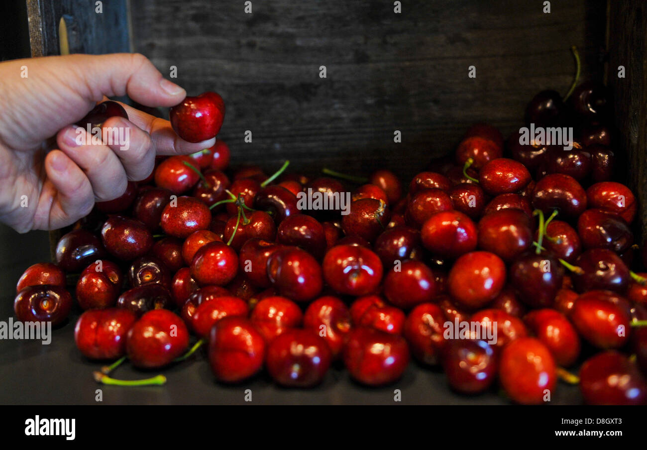 Fruir bar hi-res stock photography and images - Alamy