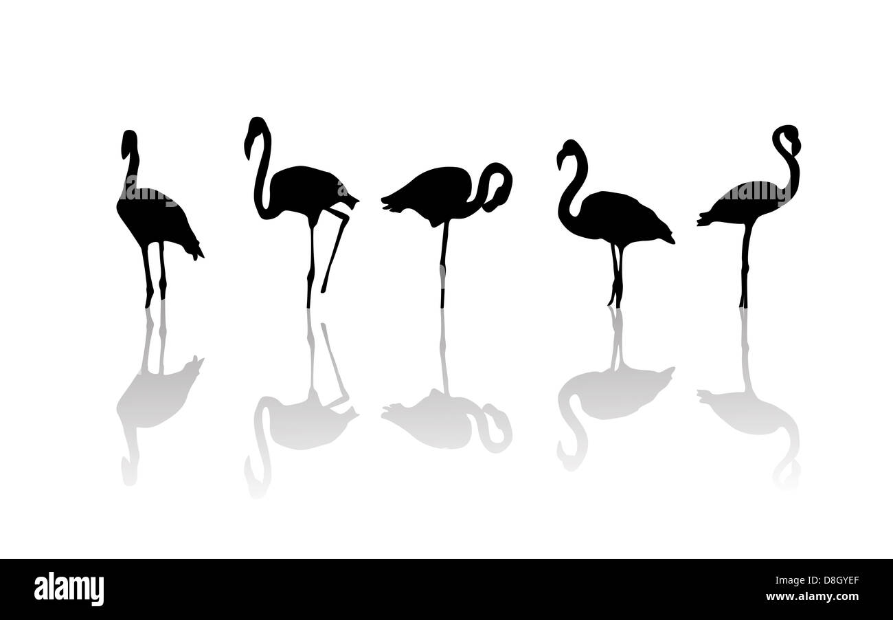 Simple flamingo design Cut Out Stock Images & Pictures - Alamy