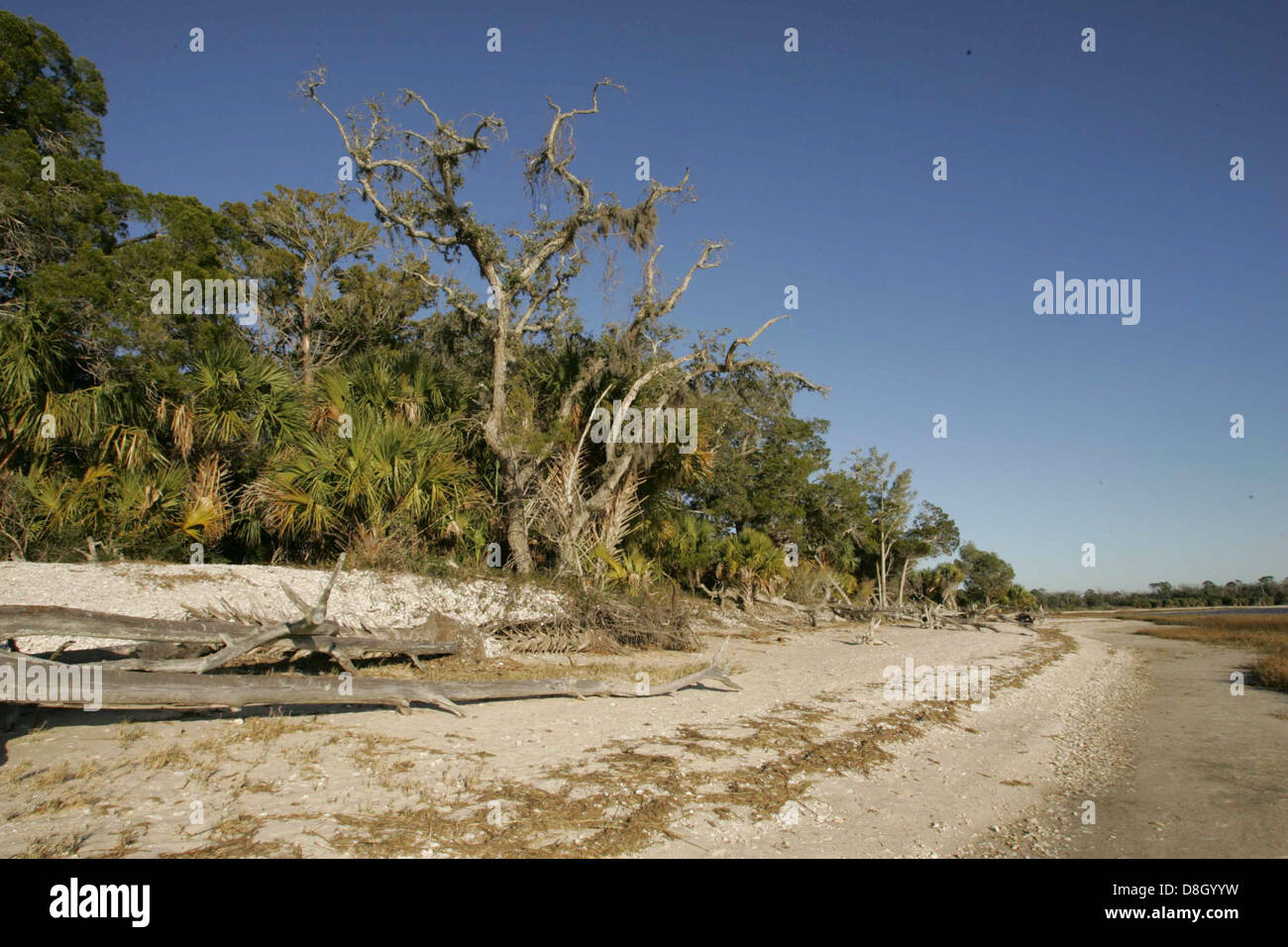 This image shows a coastal environment with its combination of sandy ...
