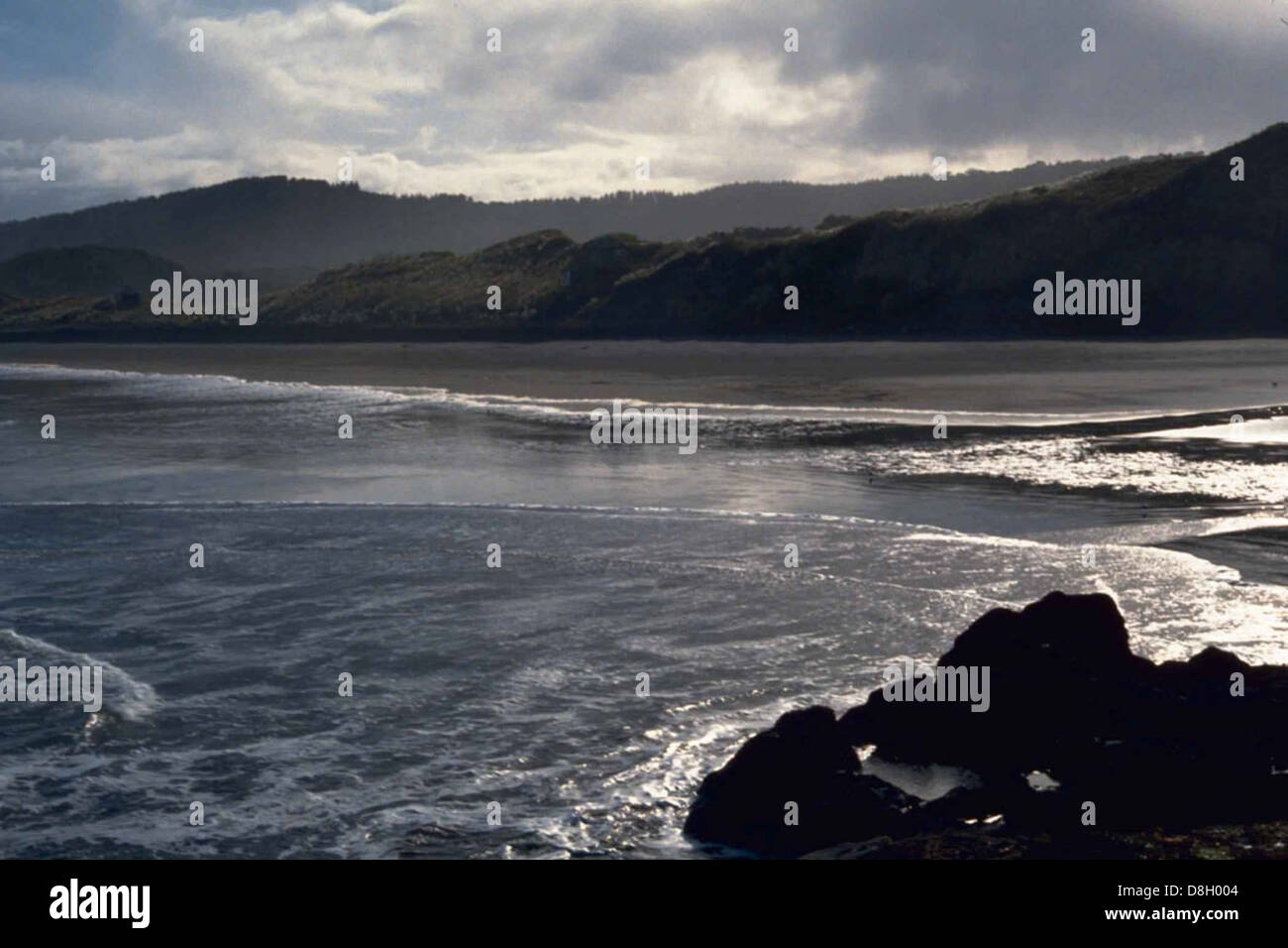 Coastal environments feature diverse ecosystems where land meets the ...