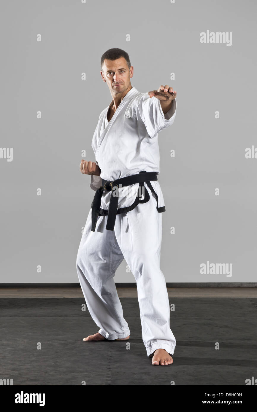 martial arts master Stock Photo - Alamy