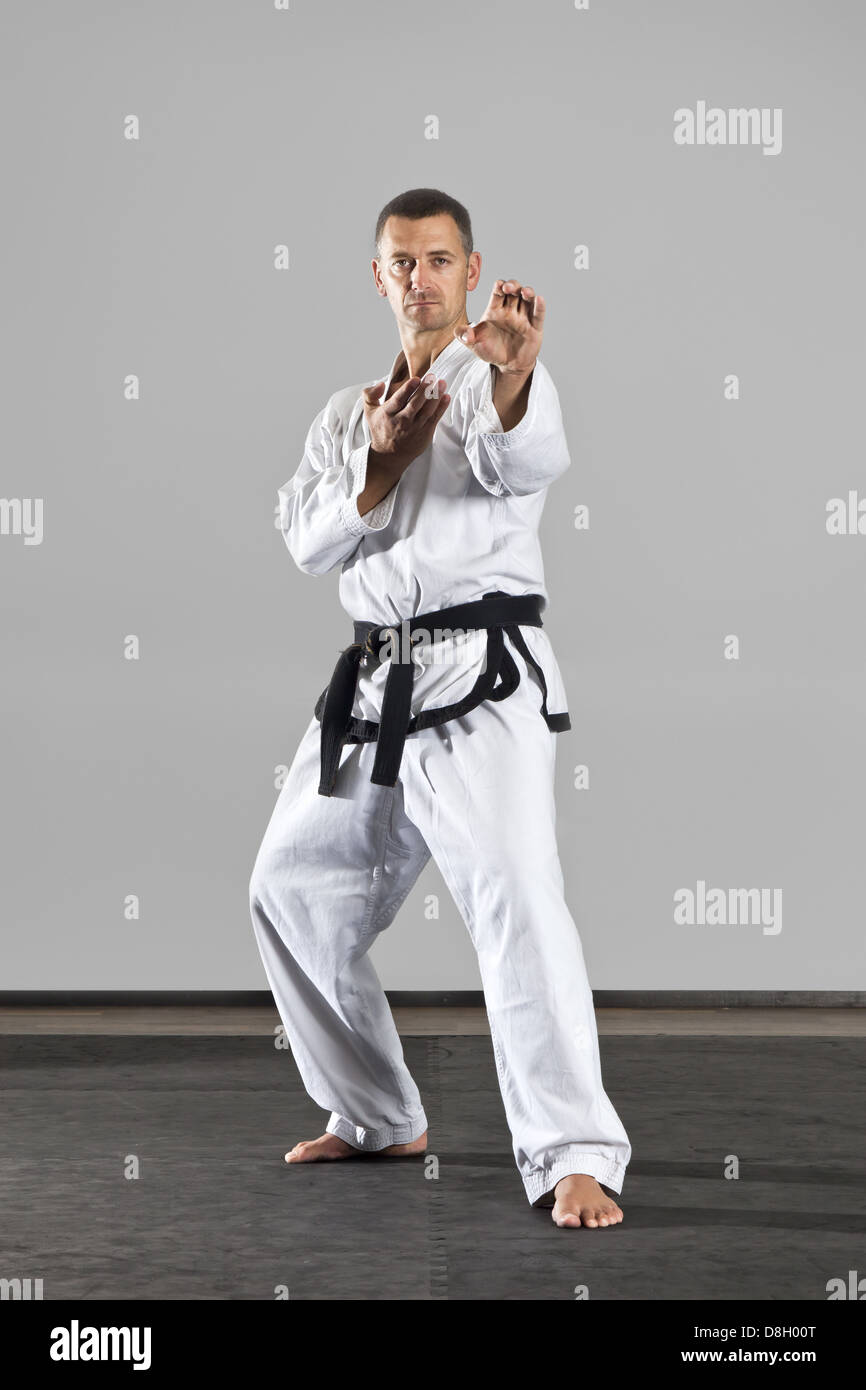 martial arts master Stock Photo - Alamy