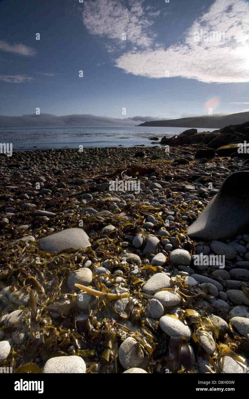 A coastal landscape, showcasing the meeting point between land and sea ...