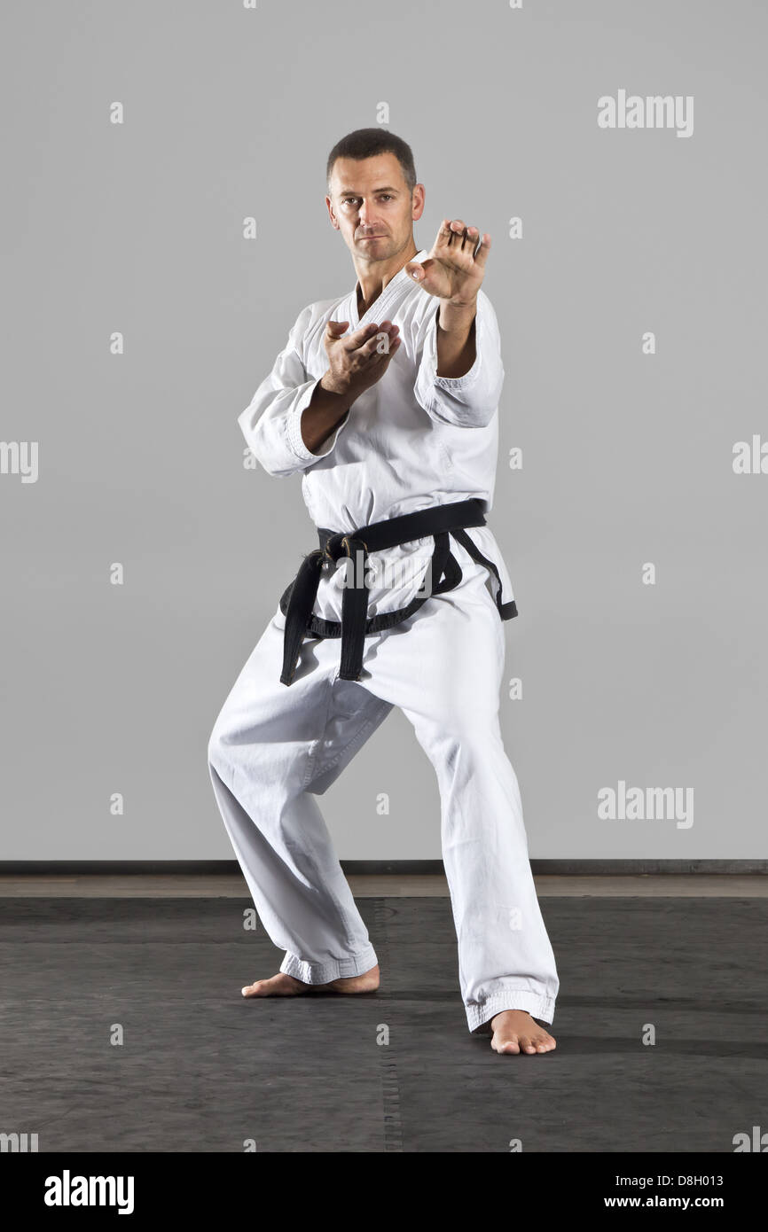 martial arts master Stock Photo - Alamy