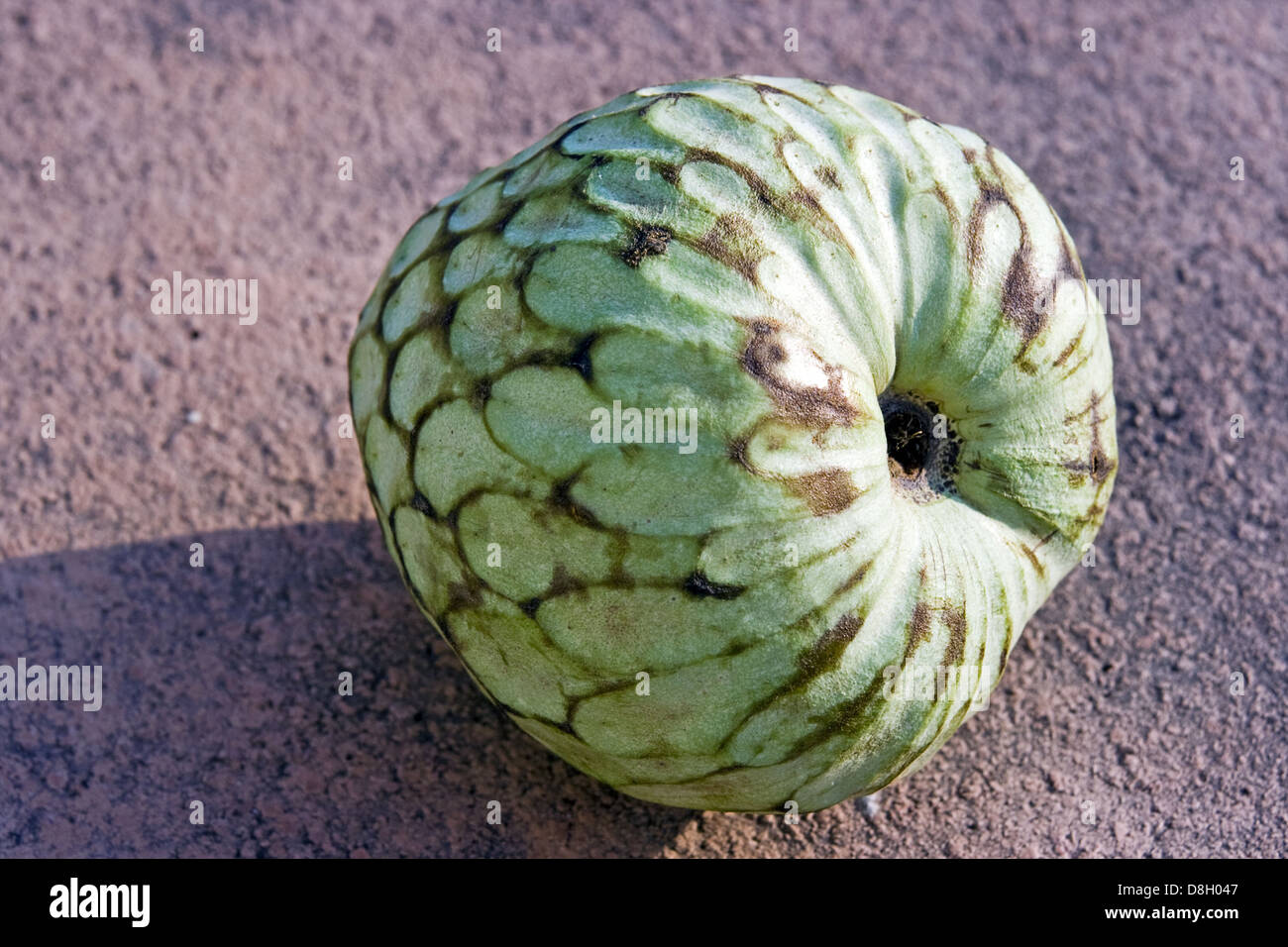 Cherimoya fruit hi-res stock photography and images - Alamy