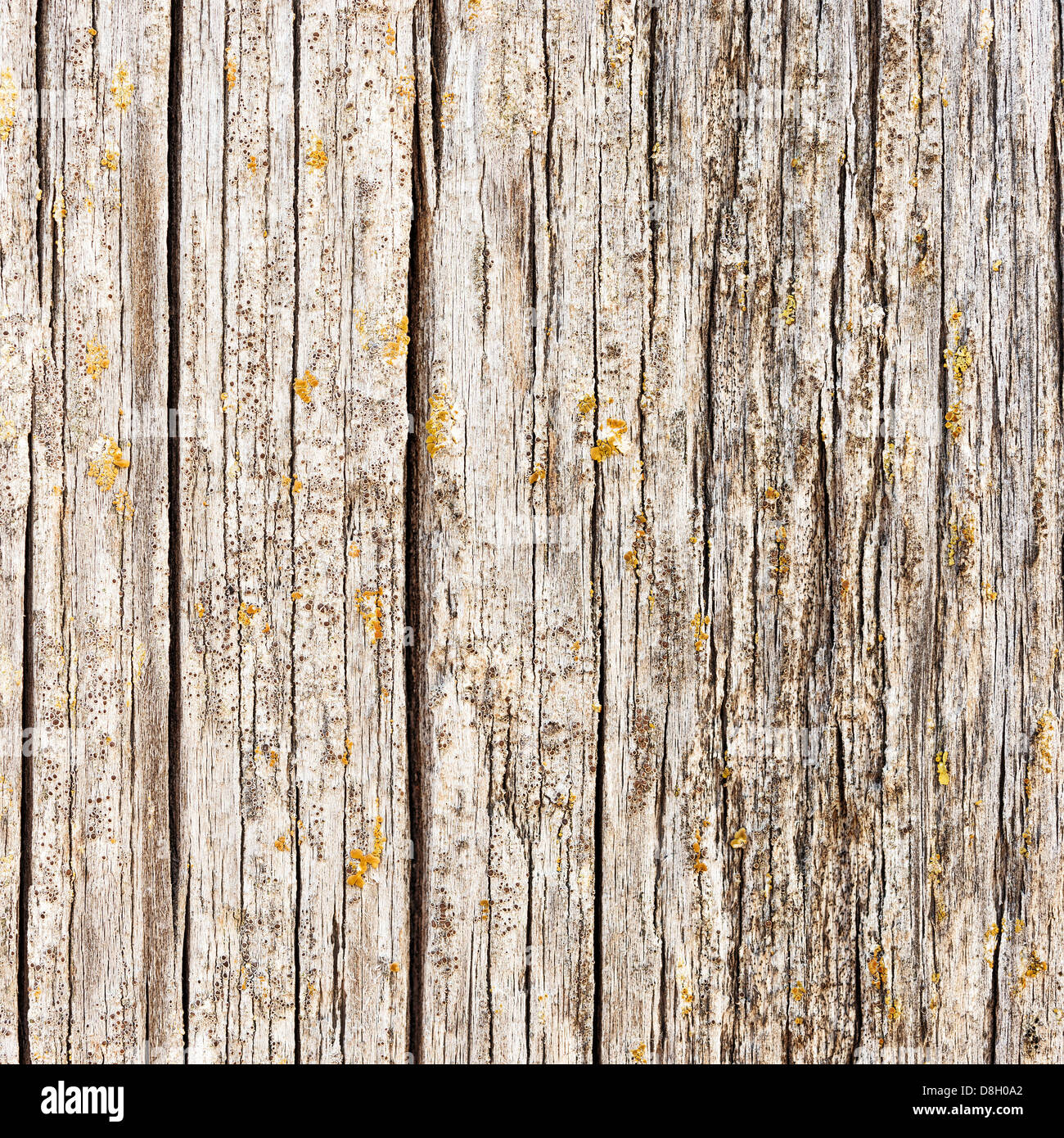 Vintage old wood background Stock Photo - Alamy