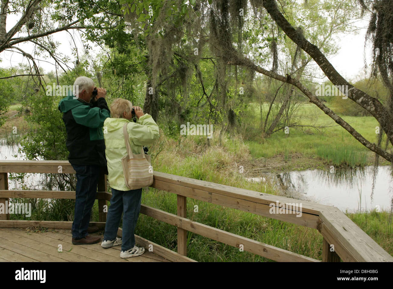 A couple visiting a nature refuge to enjoy birdwatching. The scene ...