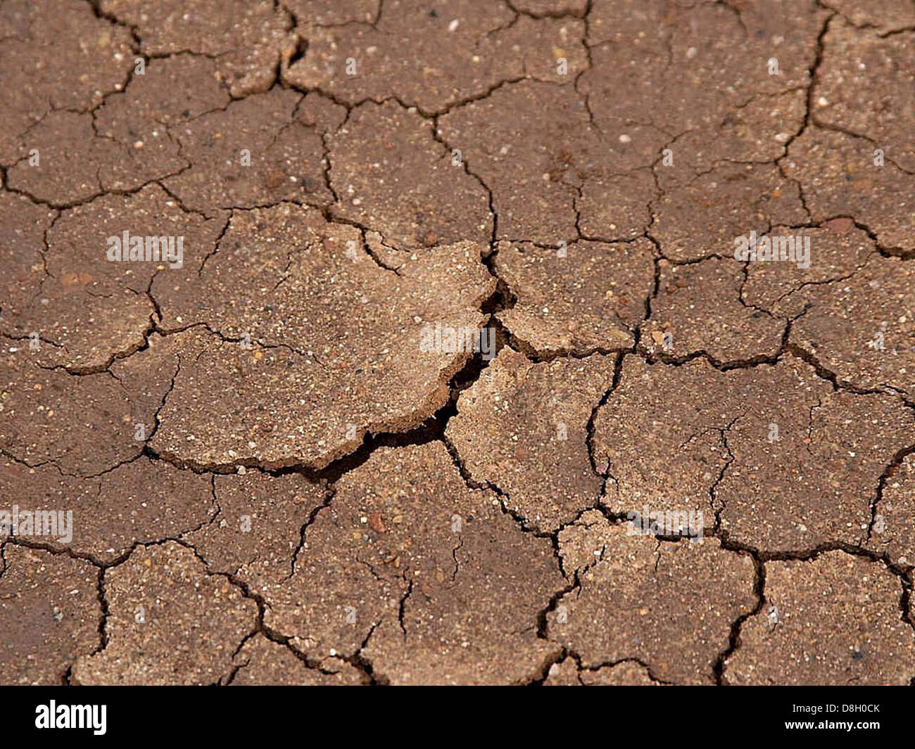 Cracked and dried mud at the beach Stock Photo - Alamy