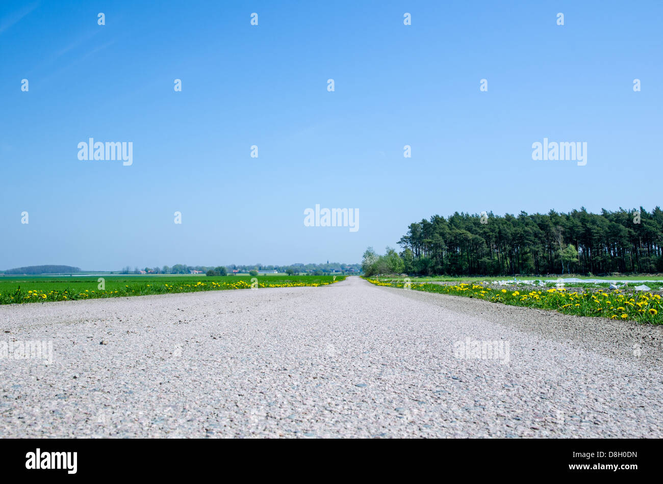Low angle photo of an asphalt road at springtime. From the island Oland ...