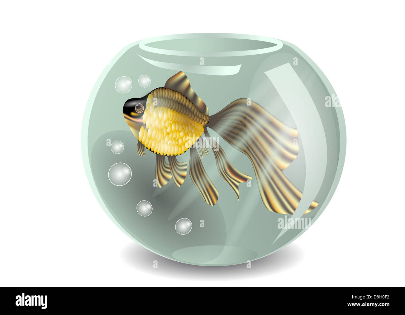 Goldfish in jar hi-res stock photography and images - Alamy