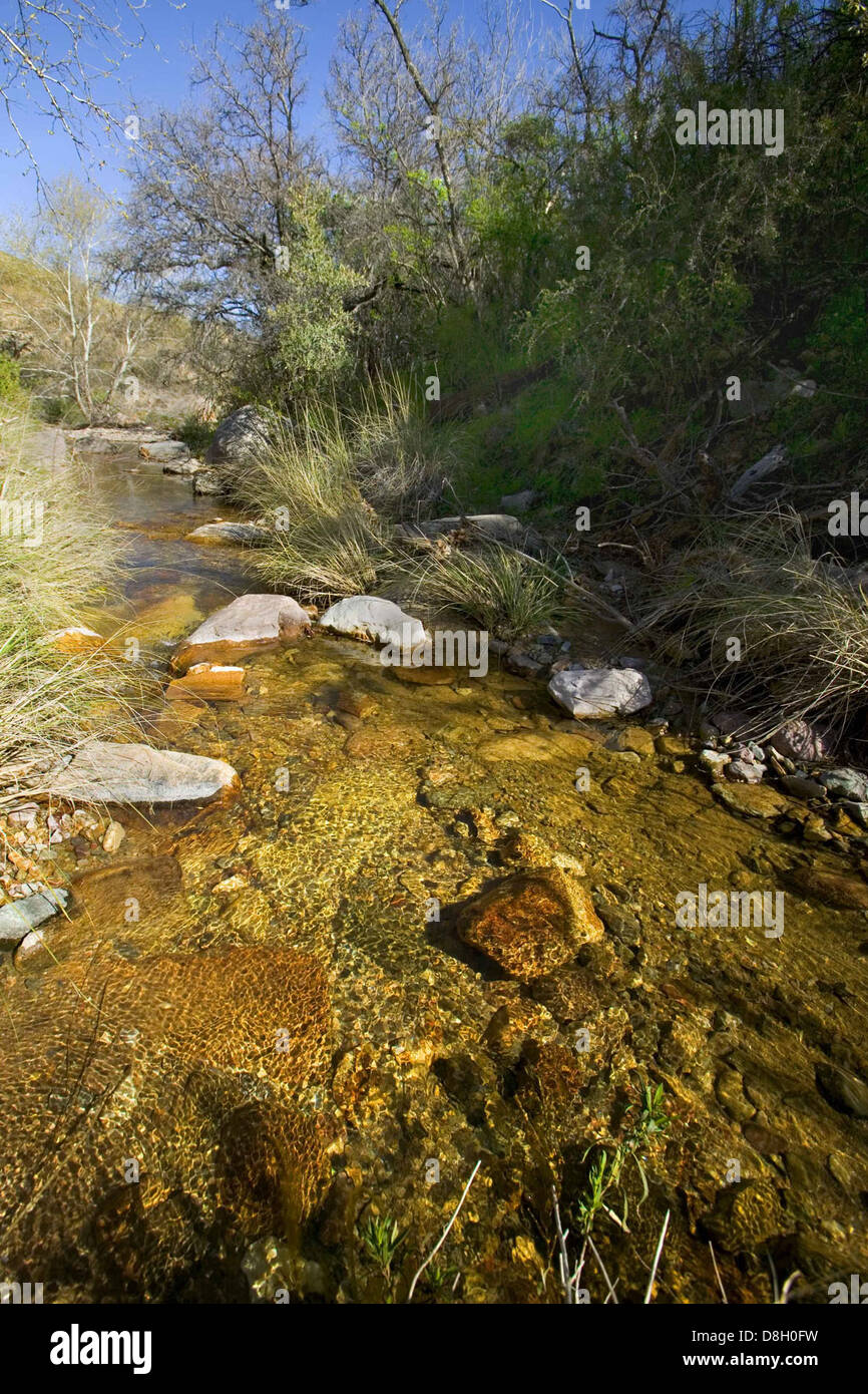 A creek gently winds through a dry desert landscape, with sparse ...