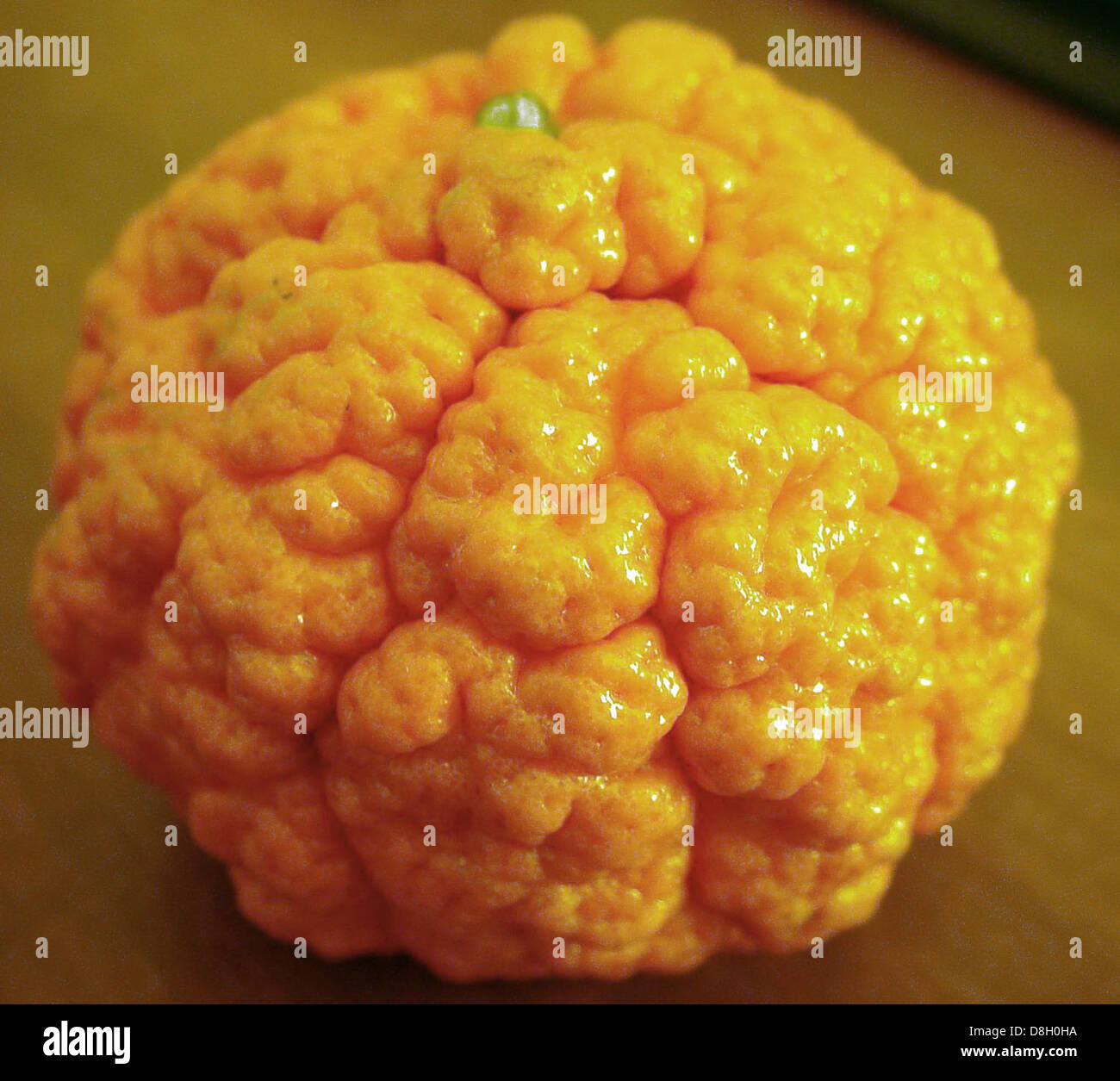 Fruits natural imperfections hi-res stock photography and images - Alamy