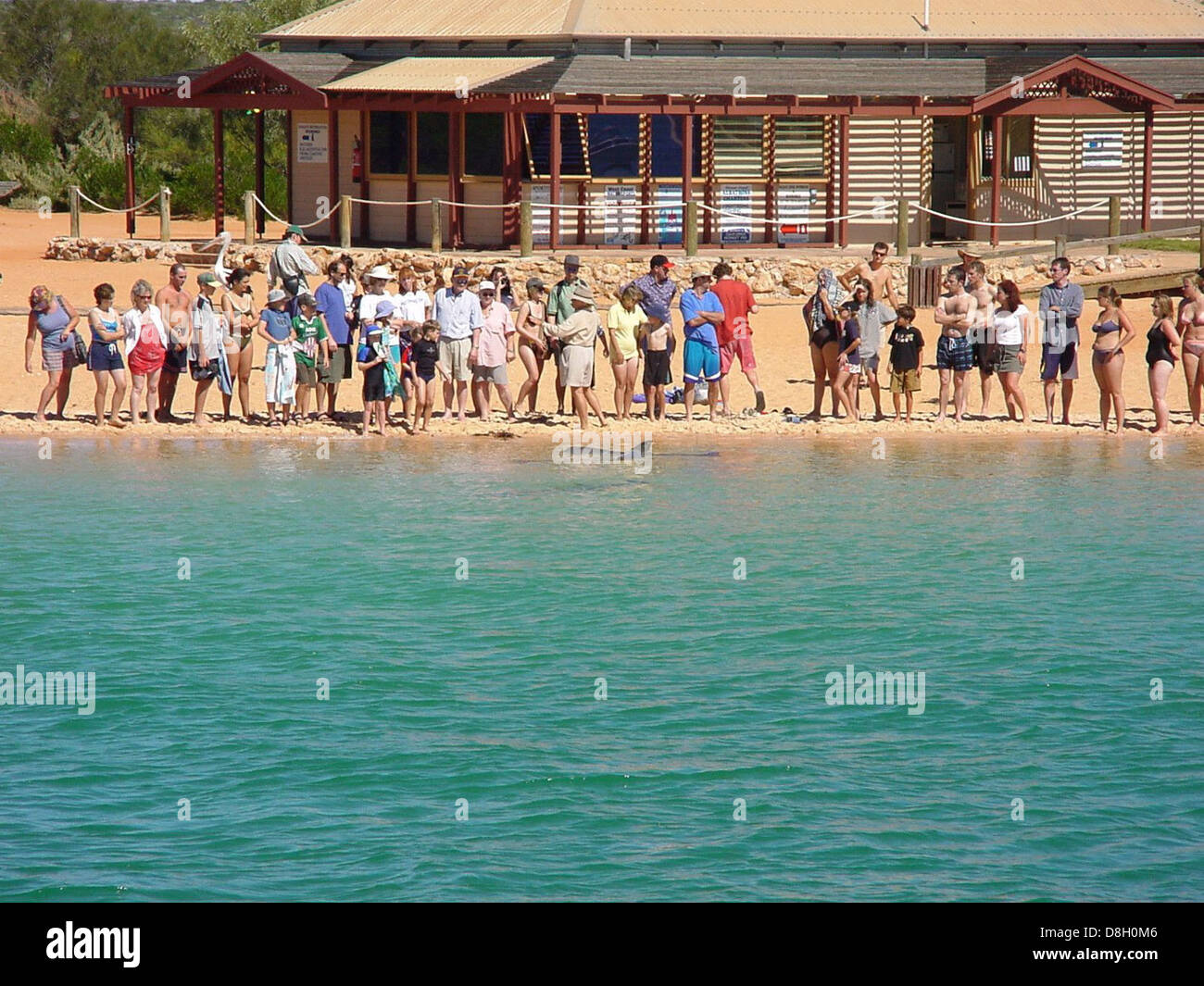 A crowd of people is seen feeding dolphins in a marine park or natural ...