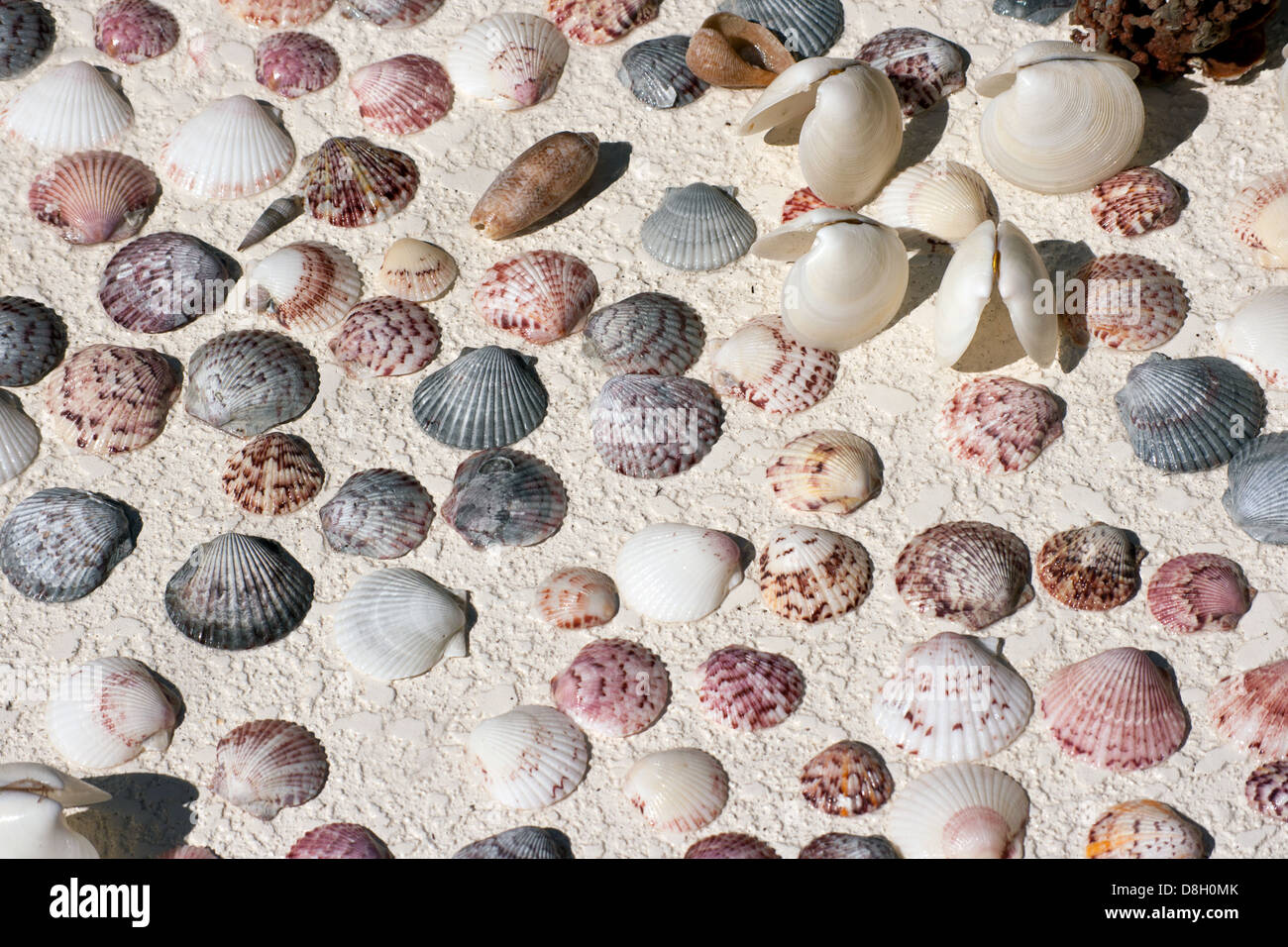 Mussel shells hi-res stock photography and images - Alamy