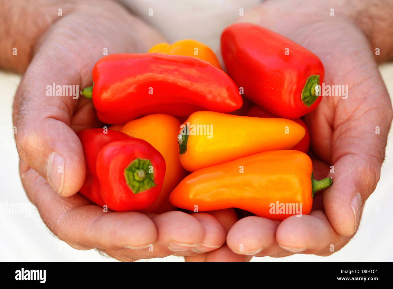 Man eating chili pepper hi-res stock photography and images - Alamy