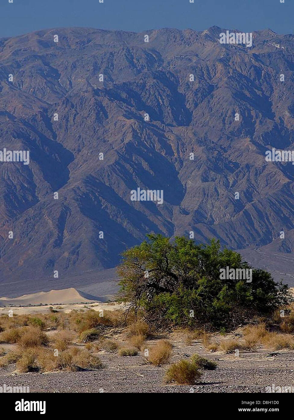 Stark landscape featuring barren hi-res stock photography and images ...