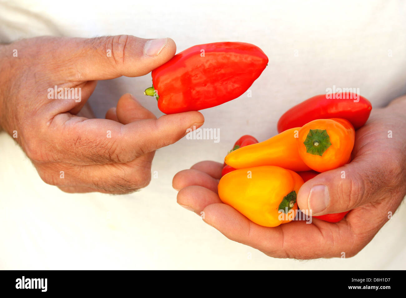 Finger hot peppers hi-res stock photography and images - Alamy