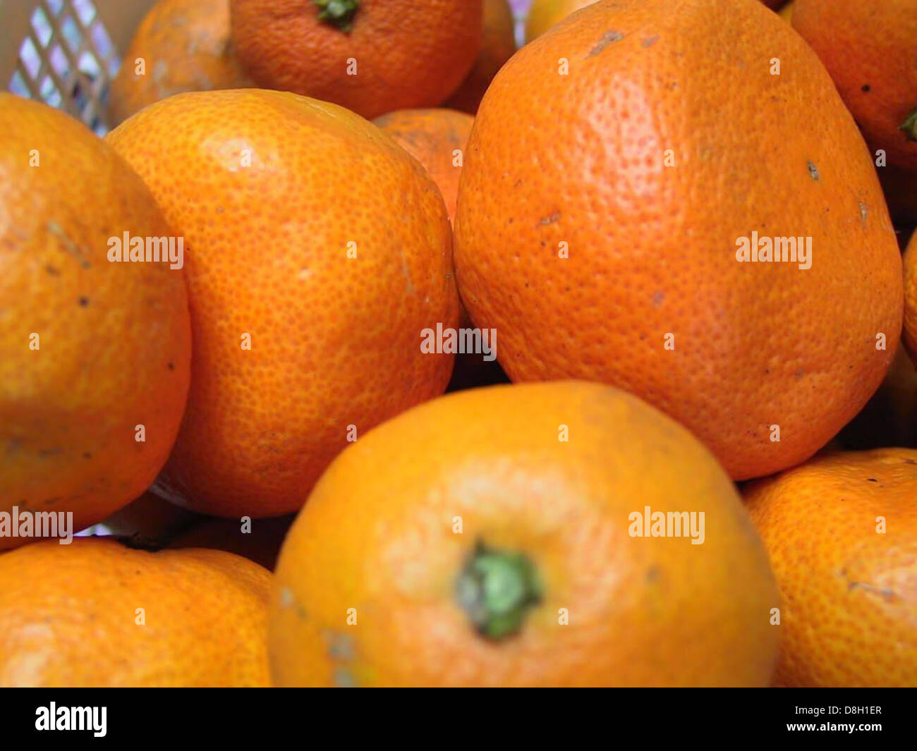 Japanese satsuma hi-res stock photography and images - Alamy