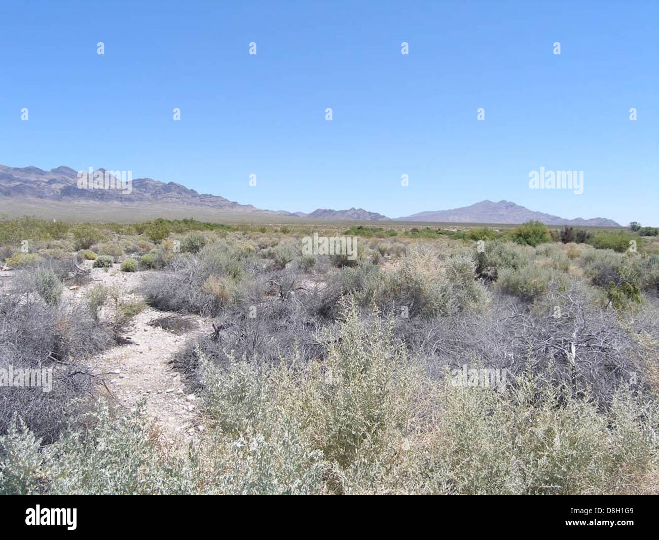 This image depicts a typical desert environment, characterized by dry ...