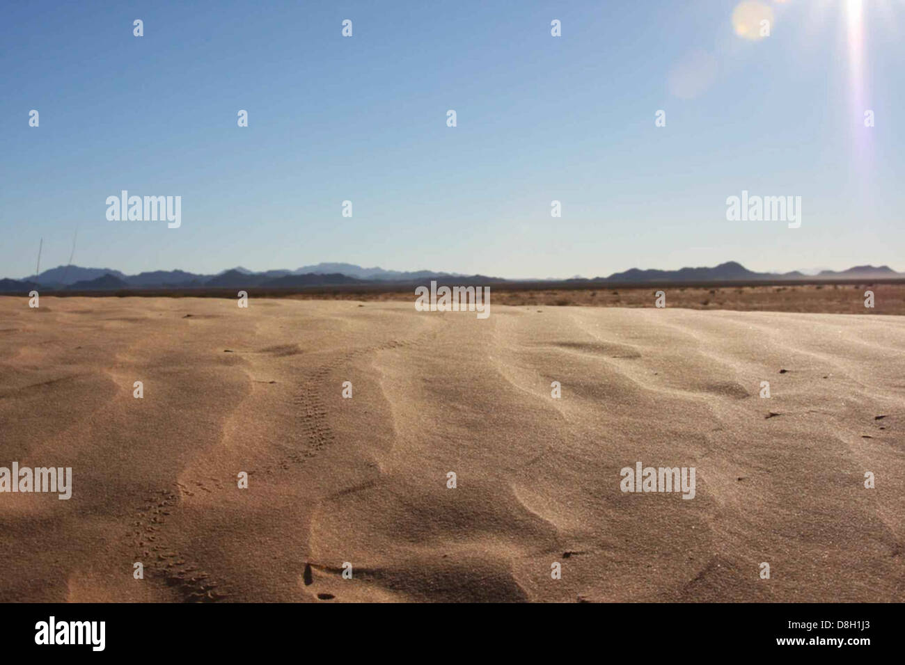 Cabeza prieta wildlife refuge hi-res stock photography and images - Alamy