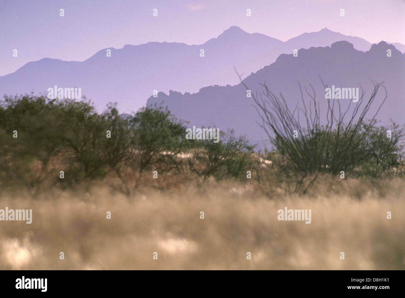A broad desert landscape with arid terrain and a vast expanse of land ...