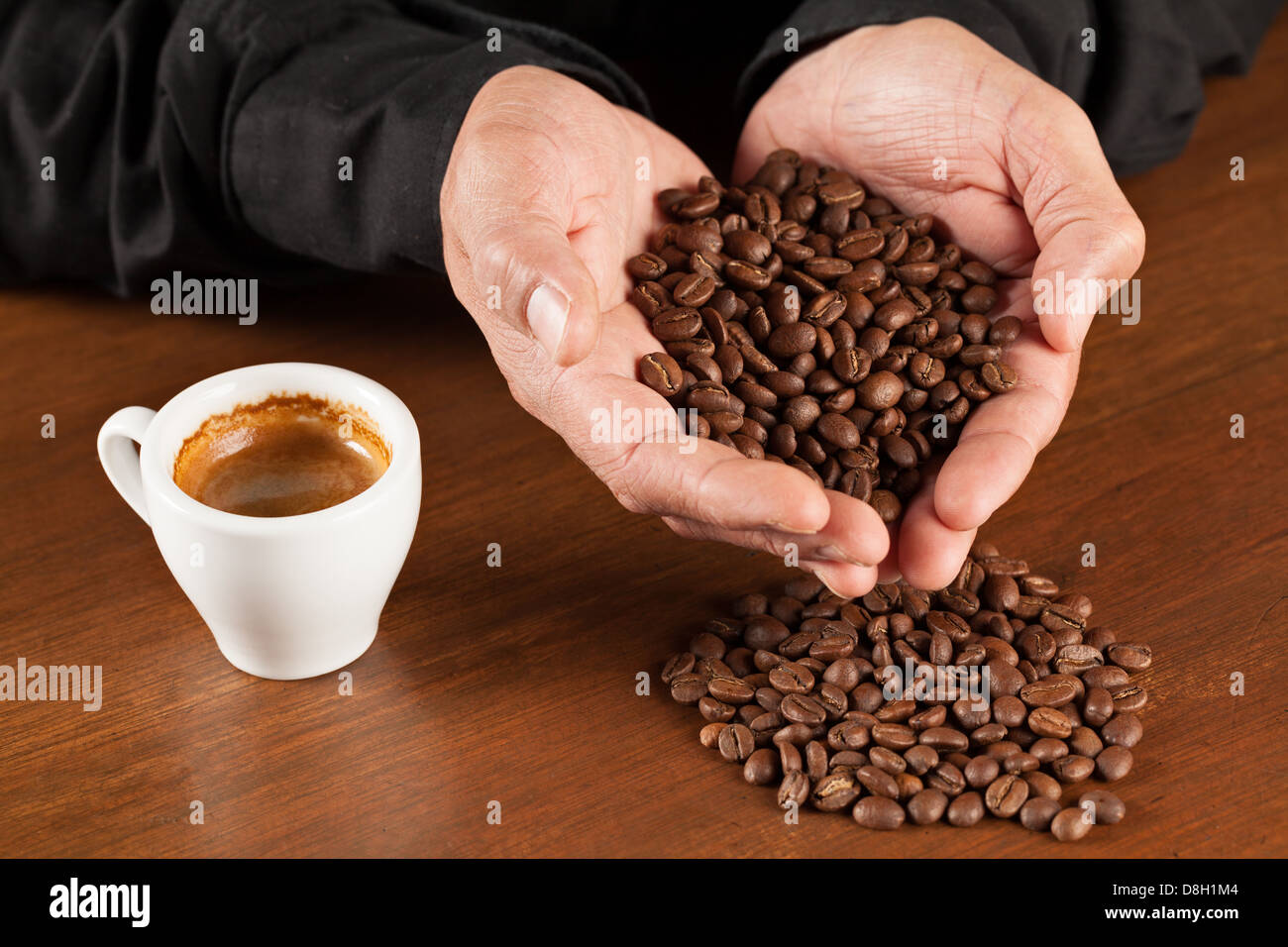 Hand picked coffee beans hi-res stock photography and images - Alamy