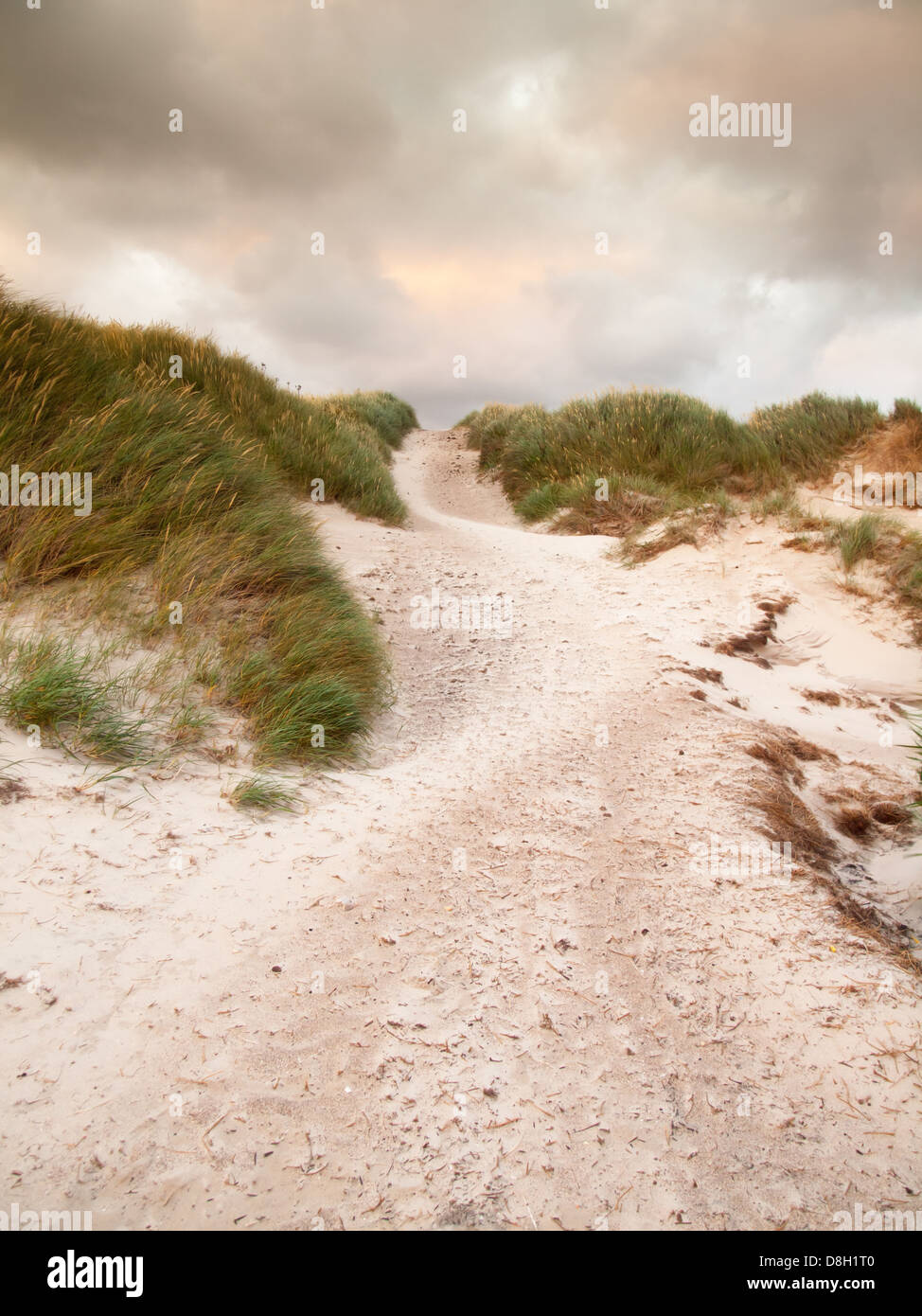sand path through sand dunes to the sea on a summers day with heavy ...