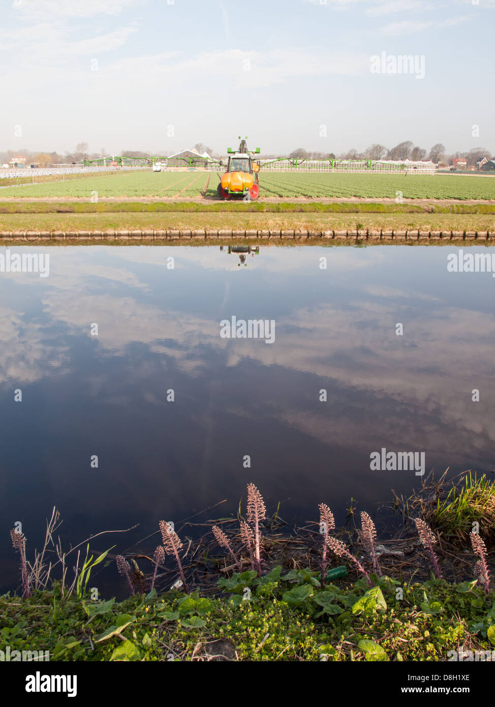Pesticides In Water Pollution