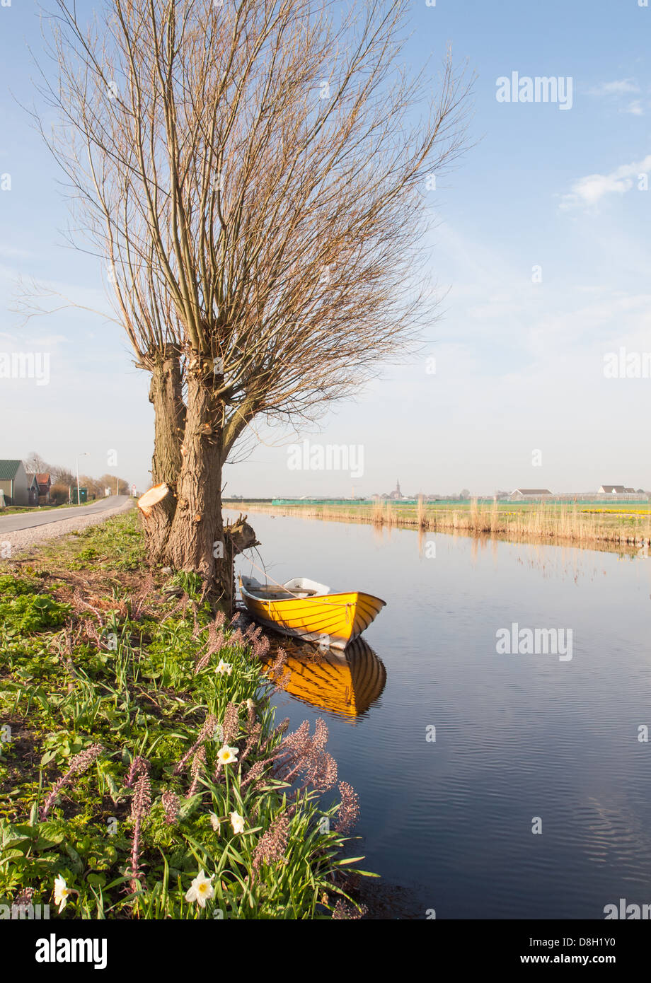 Small boat moored on a canal bank under a willow tree Stock Photo - Alamy