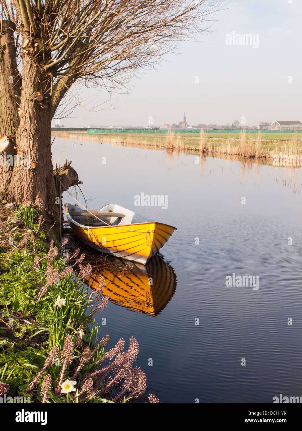 Boat under tree hi-res stock photography and images - Alamy