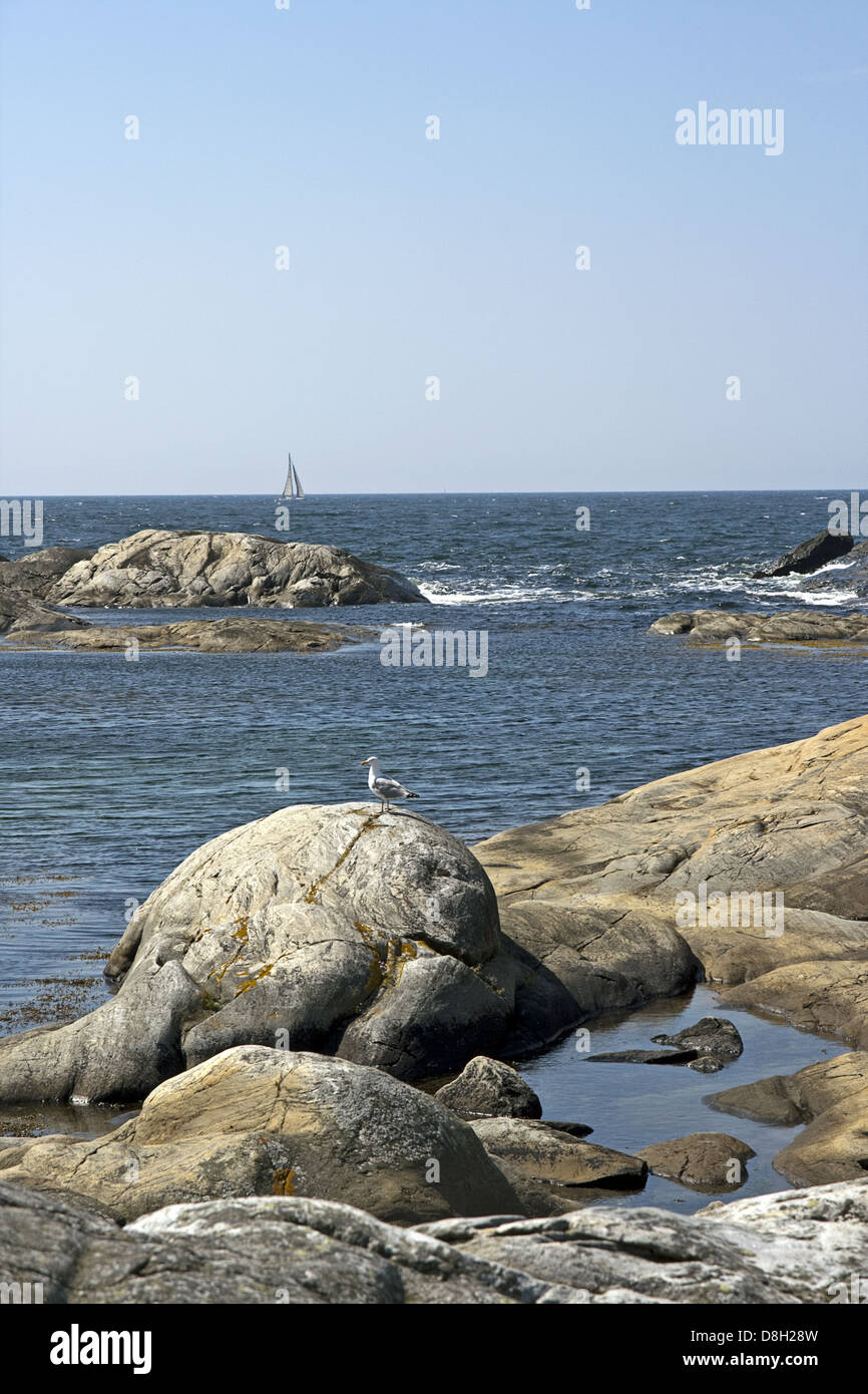 Schweden archipelago hi-res stock photography and images - Alamy