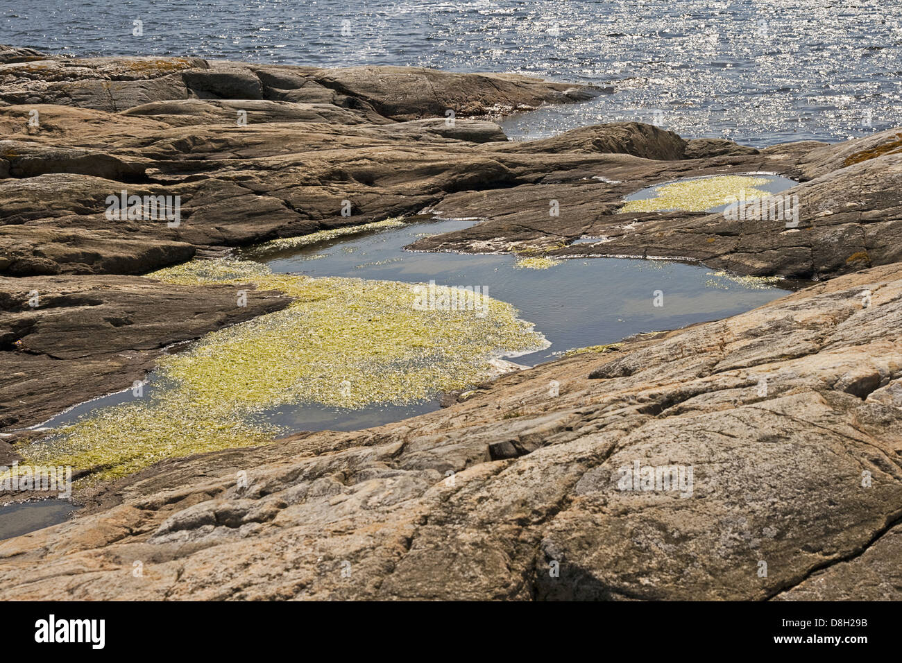 Rocky tide pools hi-res stock photography and images - Alamy