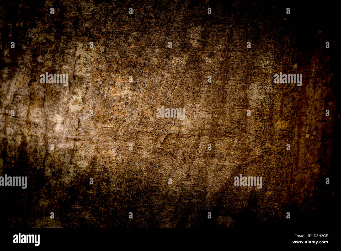 Woodland texture hi-res stock photography and images - Alamy