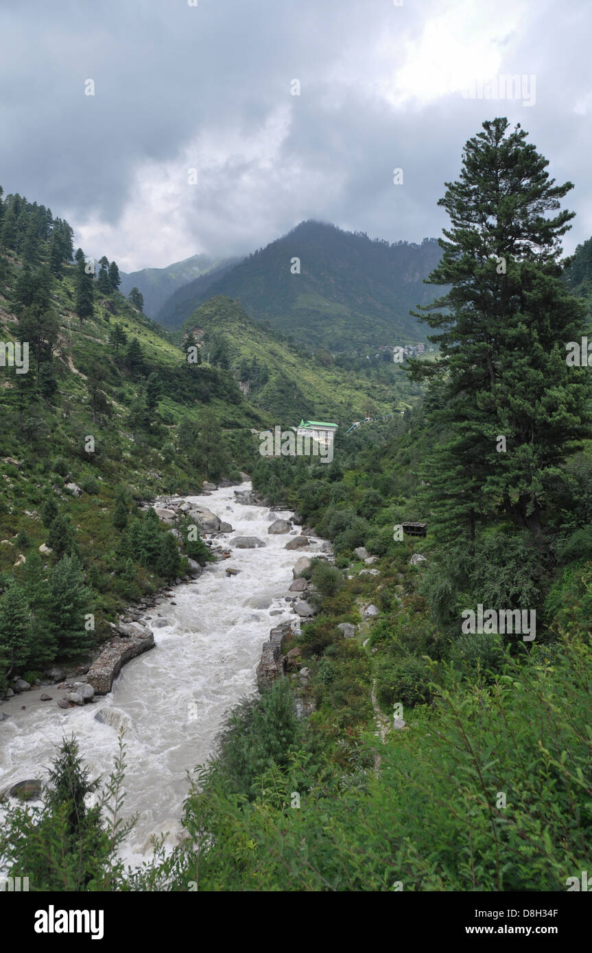 Rajasthani forest landscape near Udaipur, Rajasthan, India Stock Photo ...