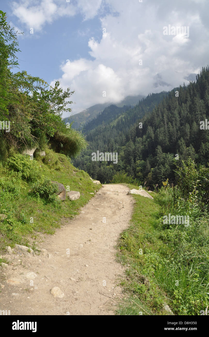 Rajasthani forest landscape near Udaipur, Rajasthan, India Stock Photo ...