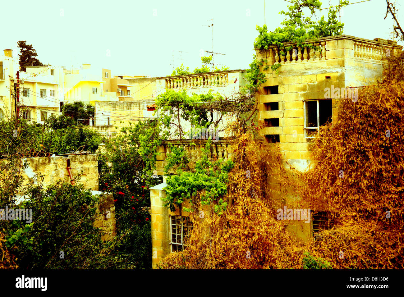 The back gardens of houses at Paceville, Malta Stock Photo - Alamy