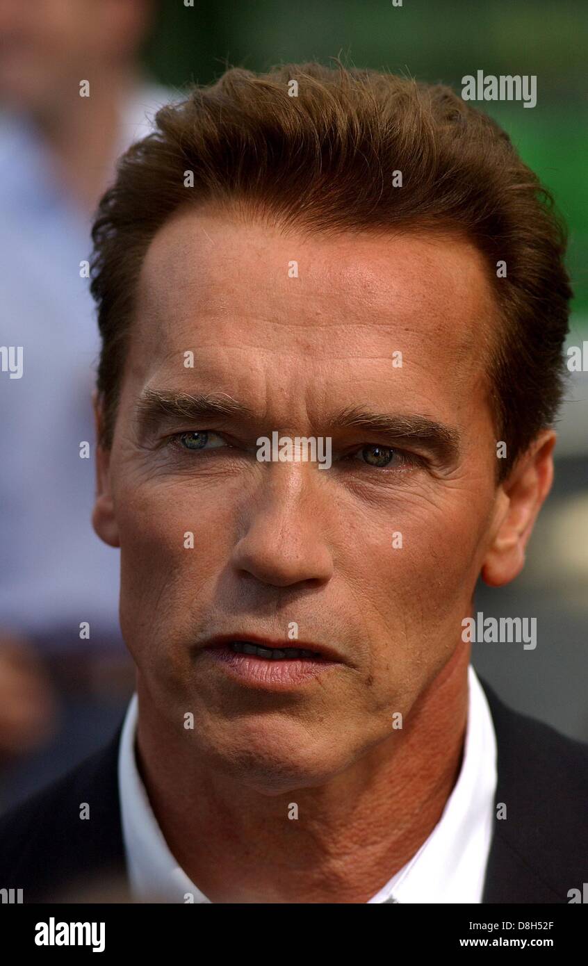 Arnold Schwarzenegger Terminator 3 Body